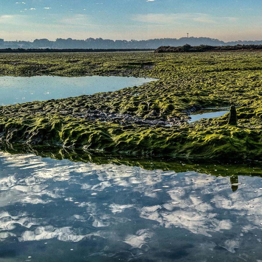Parque Natural Bahía de Cádiz | Zonas Verdes, Parques y Jardines de Cádiz
