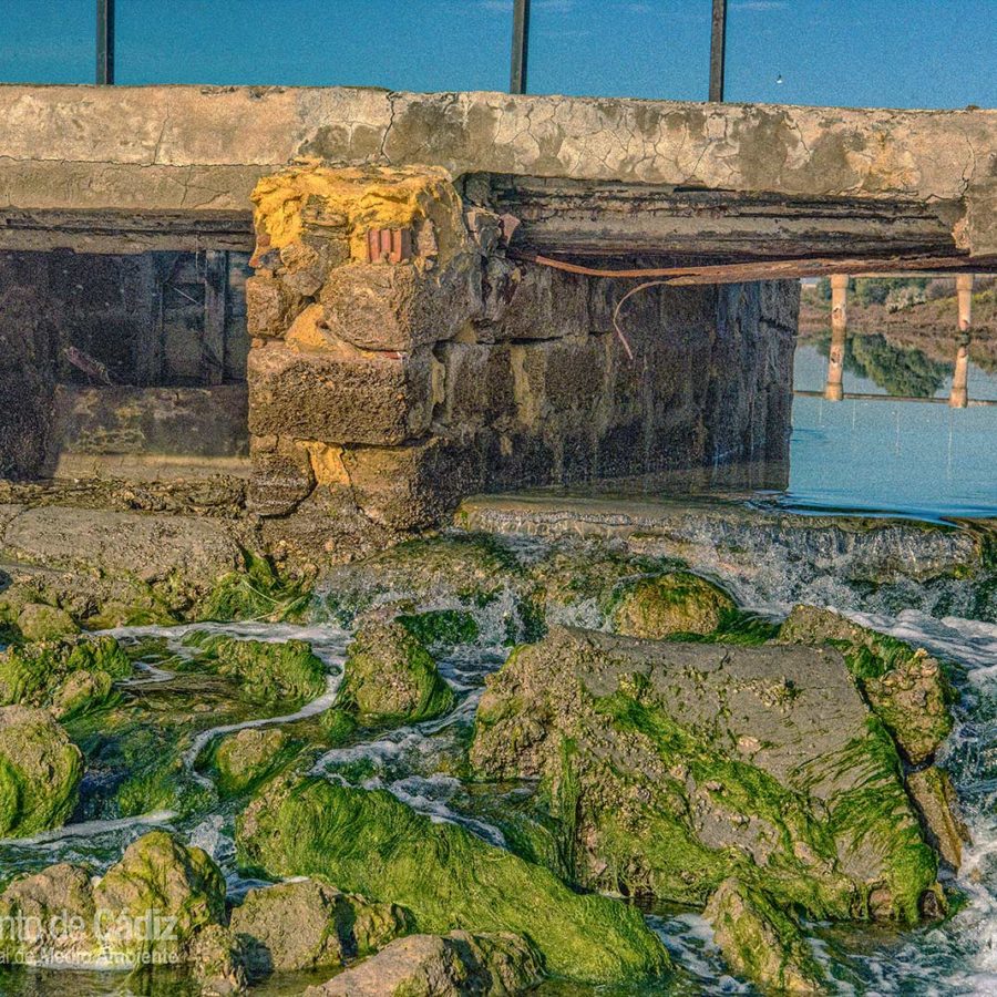 Parque Natural Bahía de Cádiz | Zonas Verdes, Parques y Jardines de Cádiz