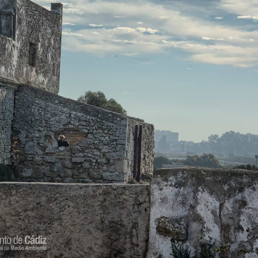 Parque Natural Bahía de Cádiz | Zonas Verdes, Parques y Jardines de Cádiz