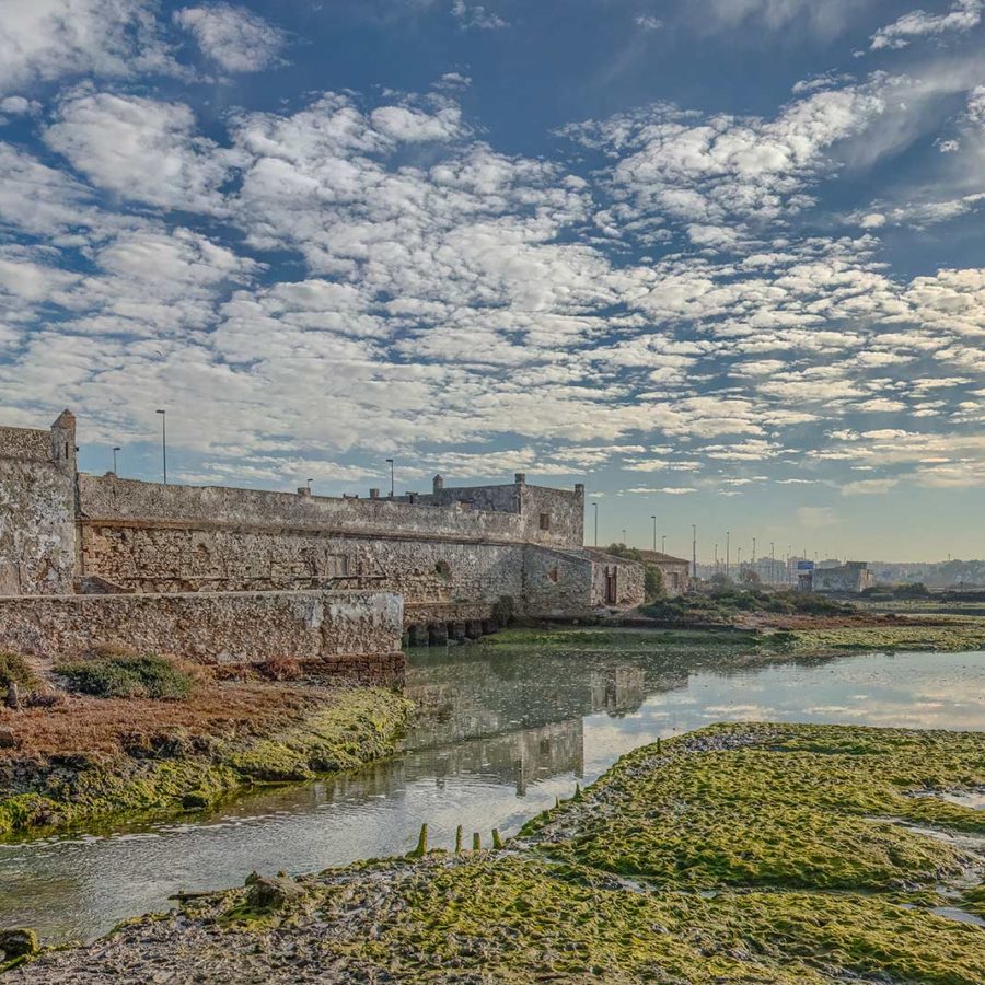 Parque Natural Bahía de Cádiz | Zonas Verdes, Parques y Jardines de Cádiz