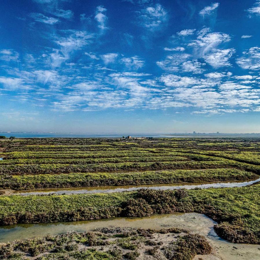 Parque Natural Bahía de Cádiz | Zonas Verdes, Parques y Jardines de Cádiz
