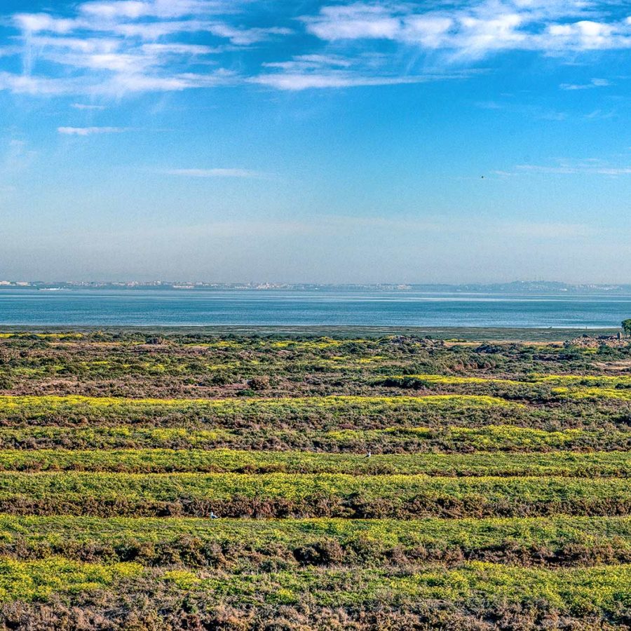 Parque Natural Bahía de Cádiz | Zonas Verdes, Parques y Jardines de Cádiz
