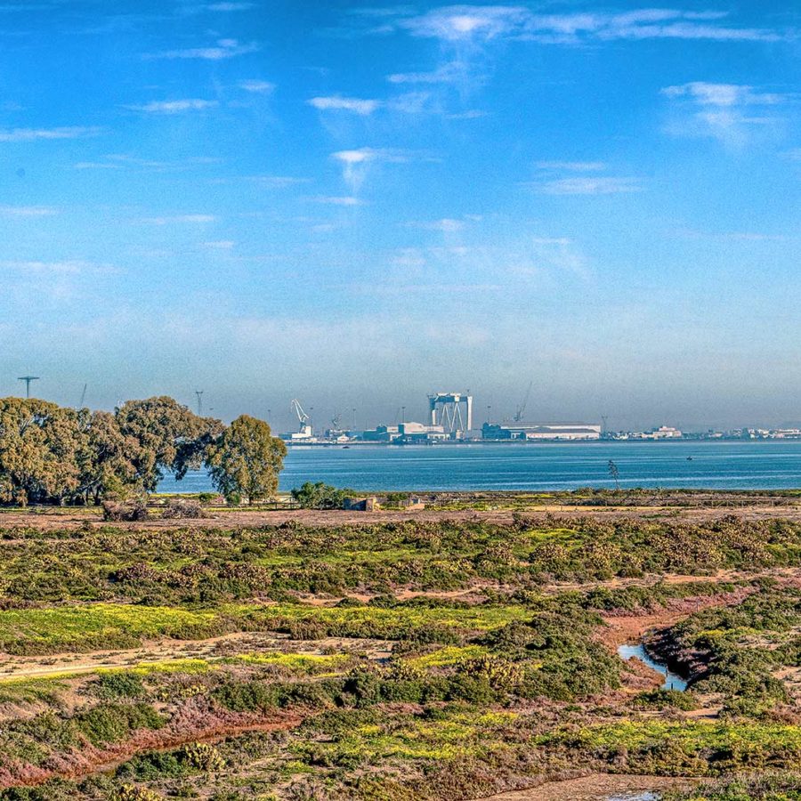 Parque Natural Bahía de Cádiz | Zonas Verdes, Parques y Jardines de Cádiz