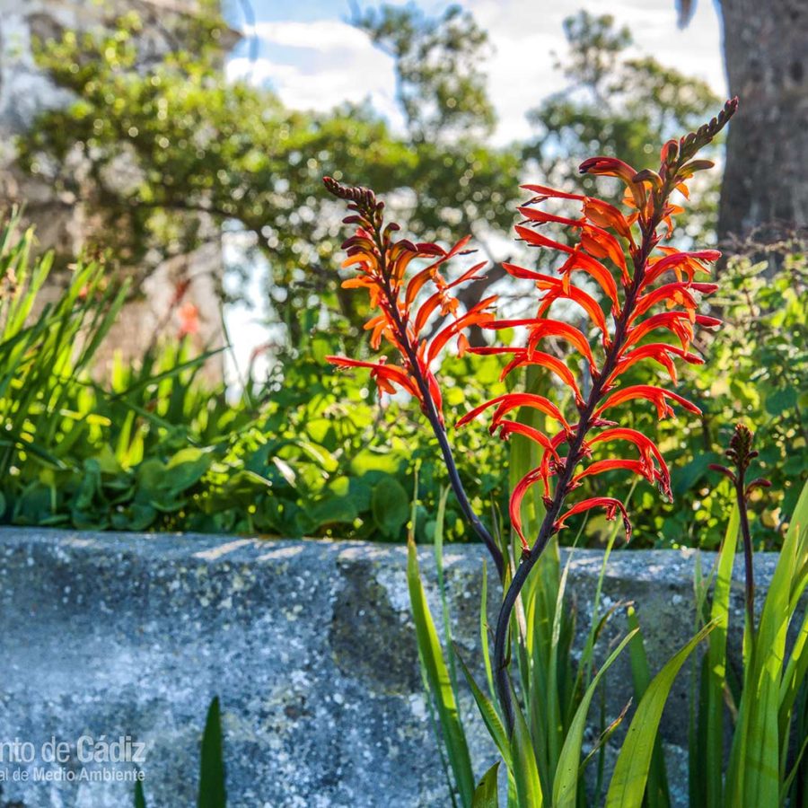 Parque Natural Bahía de Cádiz | Zonas Verdes, Parques y Jardines de Cádiz