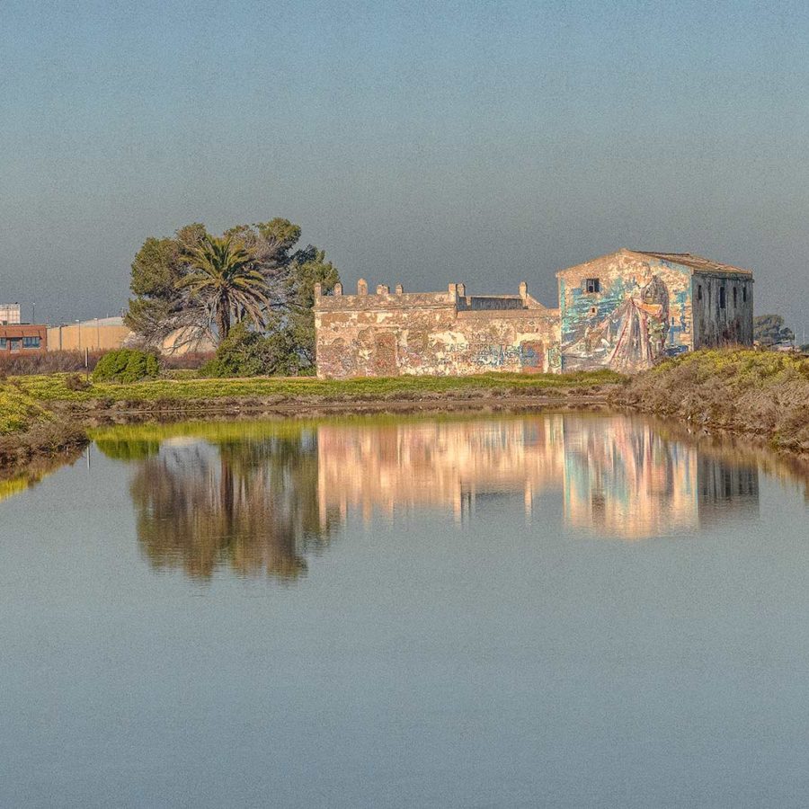 Parque Natural Bahía de Cádiz | Zonas Verdes, Parques y Jardines de Cádiz