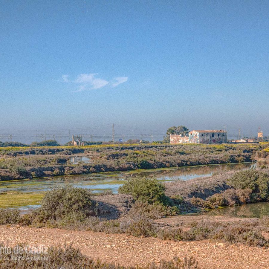 Parque Natural Bahía de Cádiz | Zonas Verdes, Parques y Jardines de Cádiz