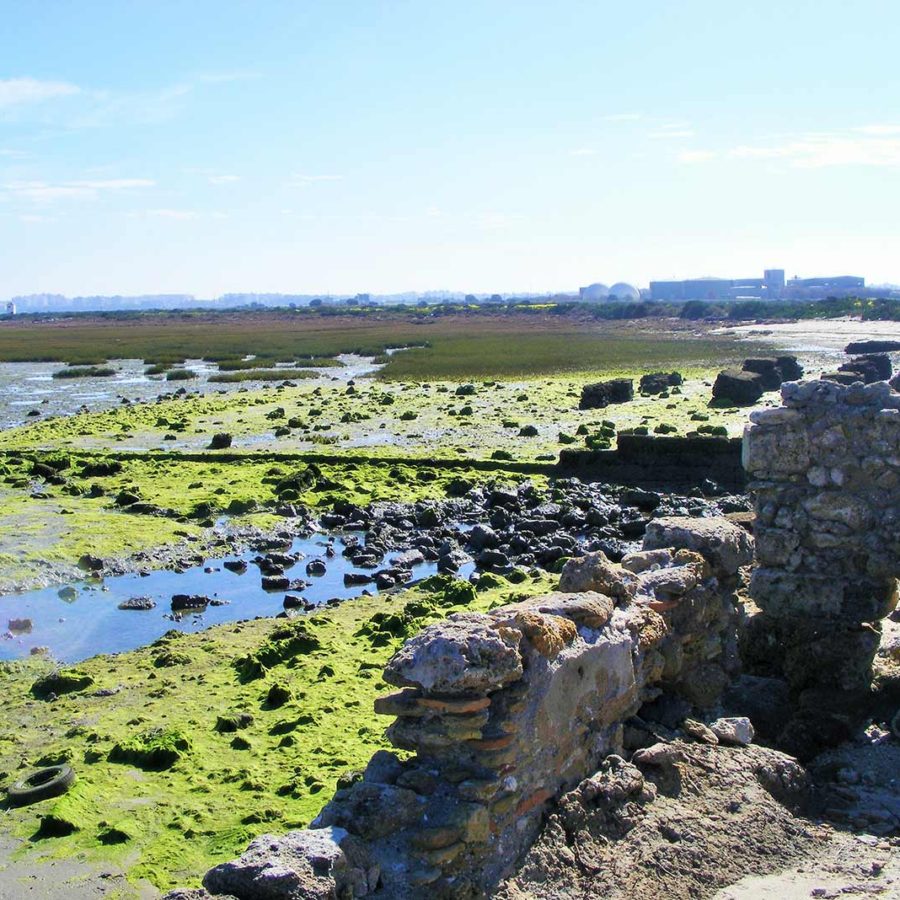 Parque Natural Bahía de Cádiz | Zonas Verdes, Parques y Jardines de Cádiz