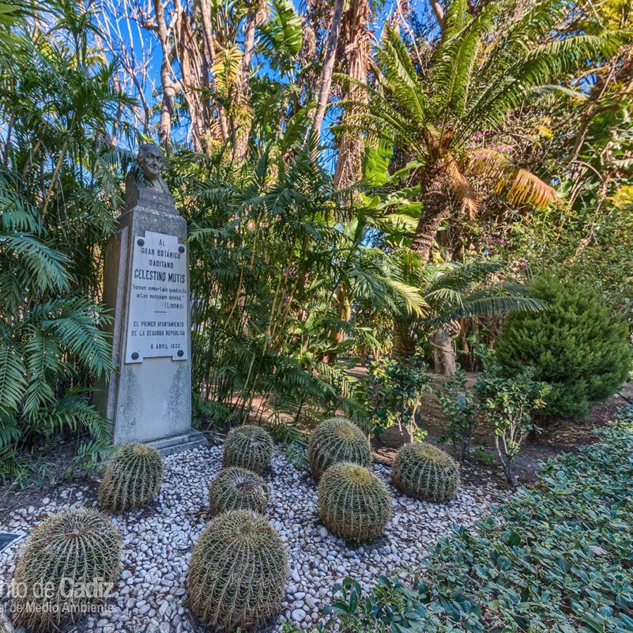 Parque Genovés | Zonas Verdes, Parques y Jardines de Cádiz