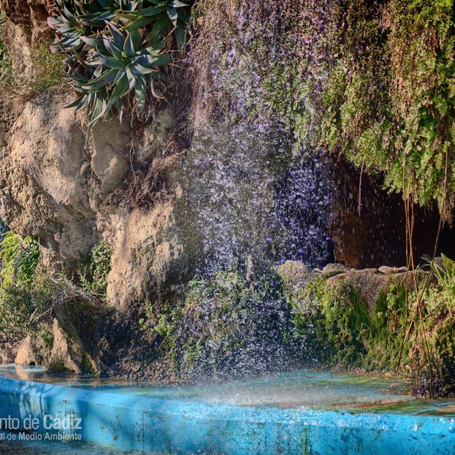 Parque Genovés | Zonas Verdes, Parques y Jardines de Cádiz