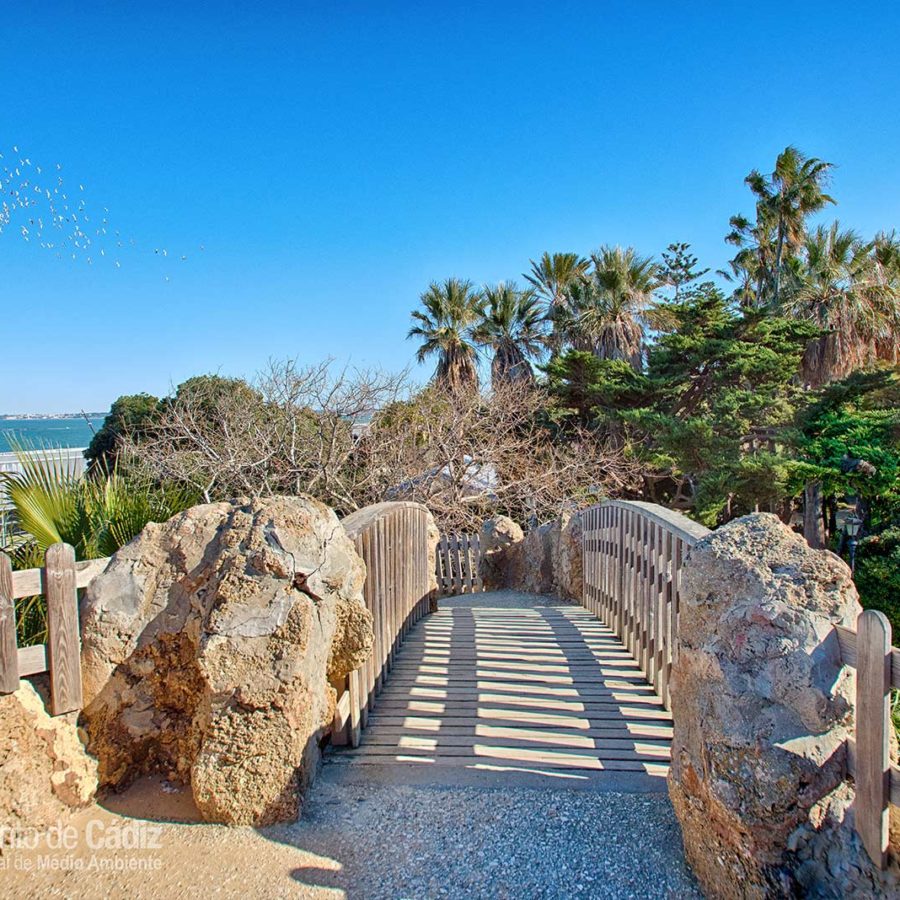 Parque Genovés | Zonas Verdes, Parques y Jardines de Cádiz