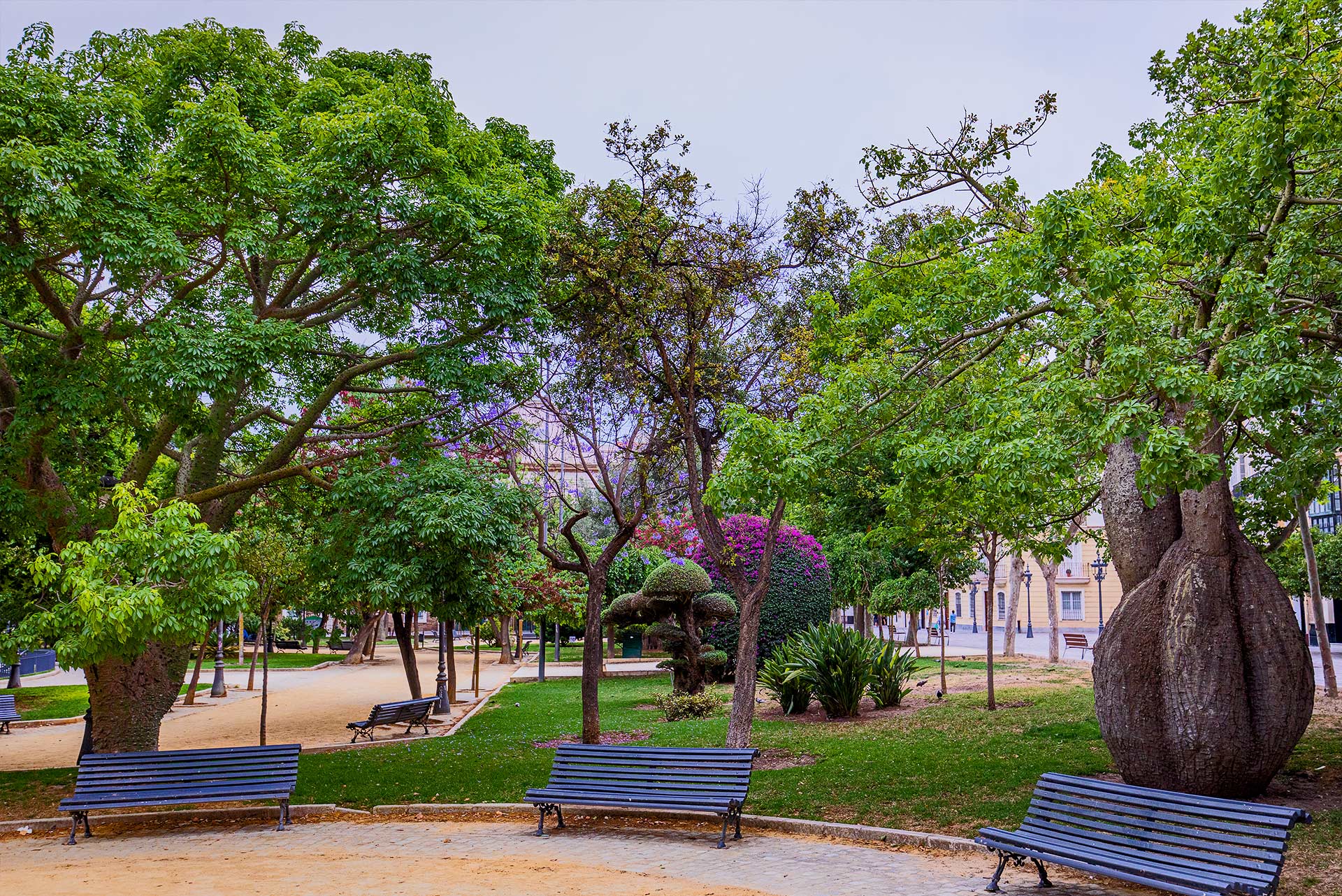Home | Zonas Verdes, Parques y Jardines de Cádiz